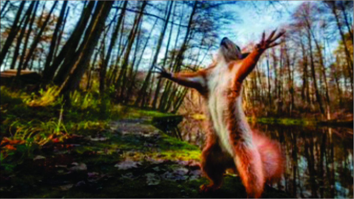 Squirrels, elephants and energy - The Platte County Landmark Newspaper