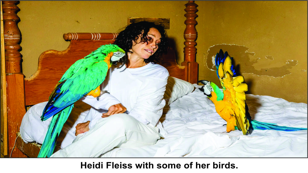 Even a Hollywood madam has standards