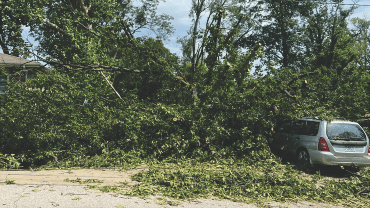 Winds of 65-70 mph it area